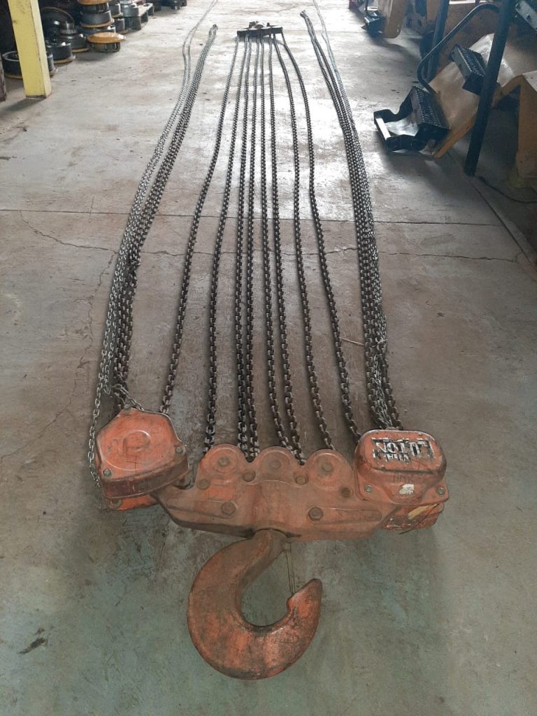 20 Ton Vital Chain Block – Dirtworx